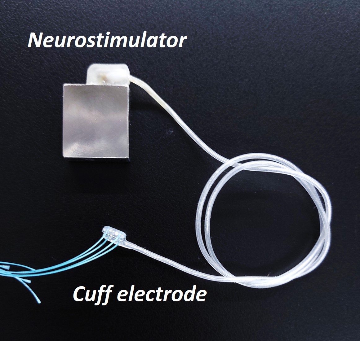 Photograph of Ti packaged neurostimulator | Young-Jun Kim
